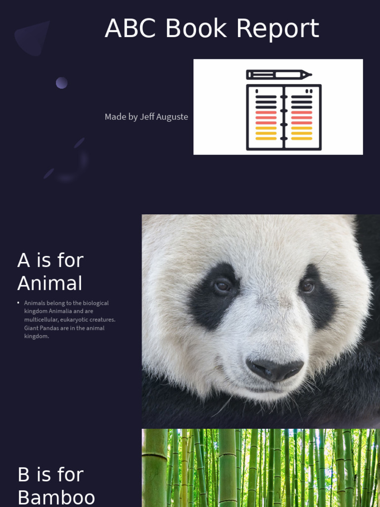 ABC Book Report (1) | PDF