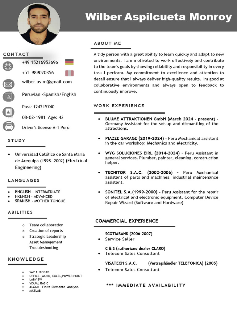 CV - Wam (English) VF Simple V1 | PDF | Engineering | Computing