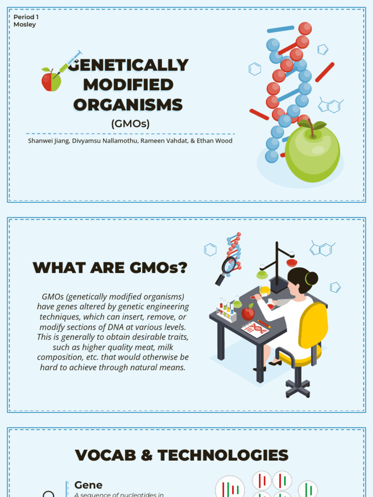 AP Biology DNA Presentation – Genetically Modified Organisms (GMOs) | PDF | Genetically Modified ...