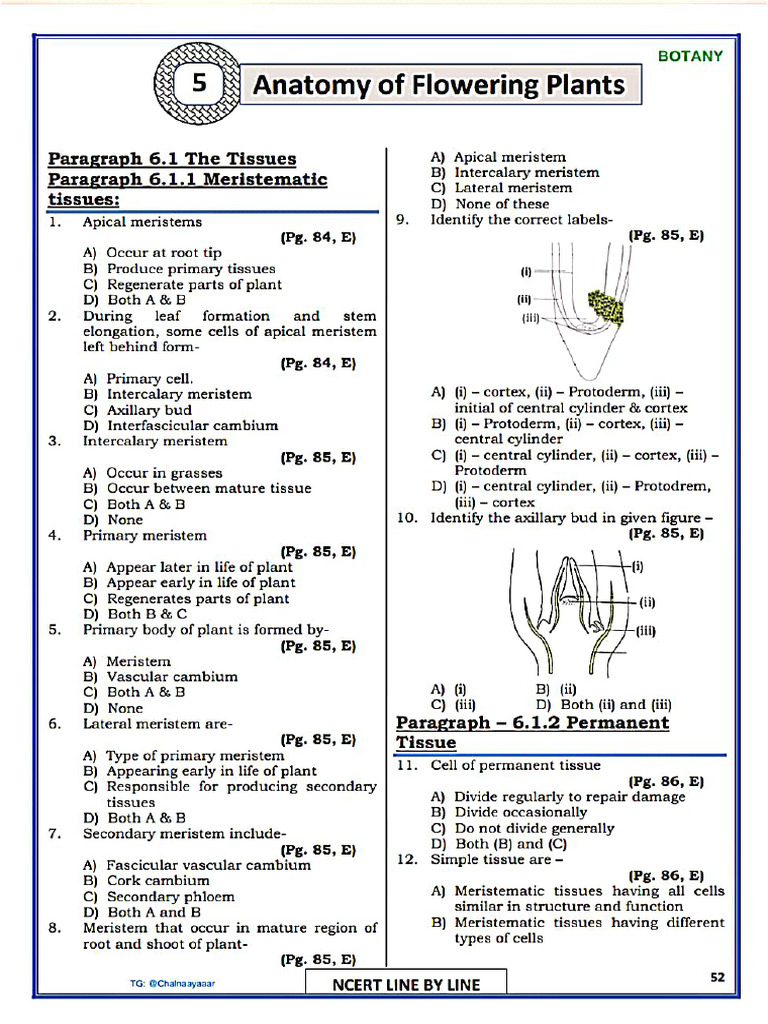 NCERT-MCQ-Anatomy | PDF