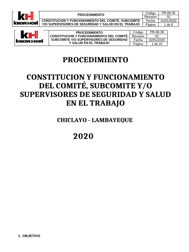 Procedimiento Conformacion de CSST y SCSST | PDF | Votación | Elecciones