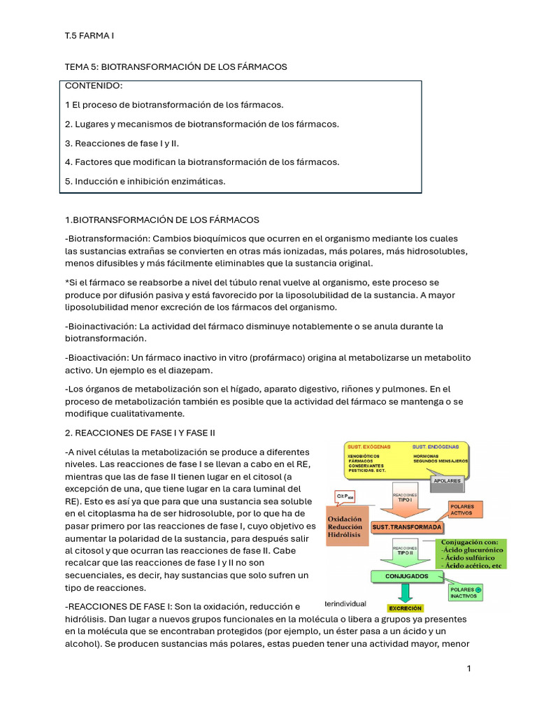 T.5 Limpio | PDF | Citocromo P450 | Biotransformación