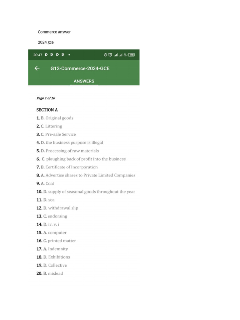 Commerce answer-WPS Office | PDF