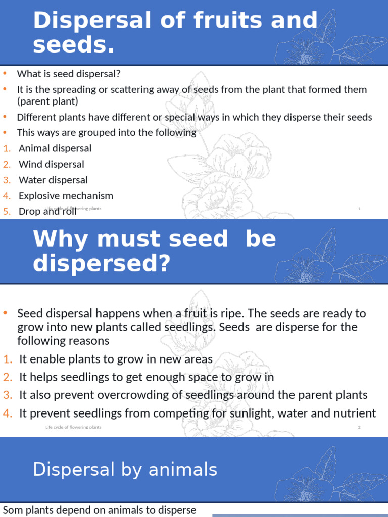 Dispersal of Fruits and Seeds | PDF | Seed | Fruit