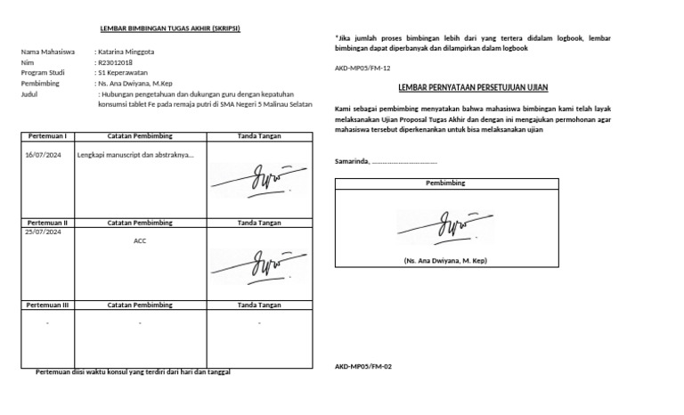 Logbook - Bimbingan Skripsi - Rina | PDF