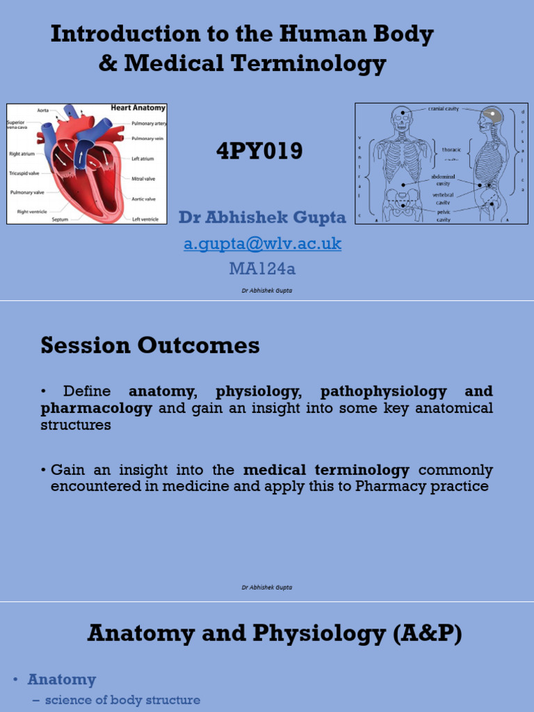 Anatomy and Physiology Terminology L1 AG Canvas Version | PDF ...