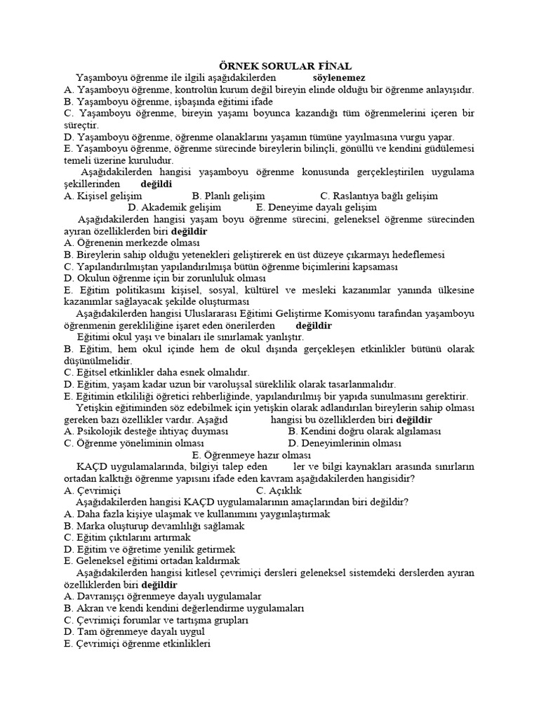Ornek Sorular-Final | PDF