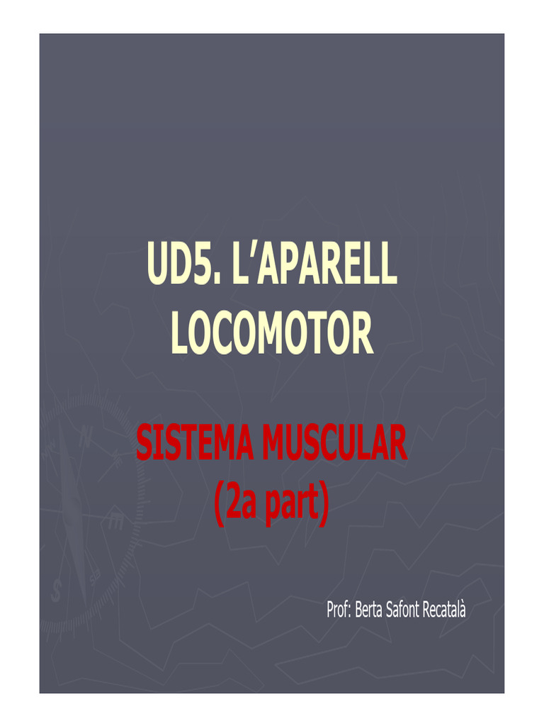 APB Power UD-5 L'aparell Locomotor (2a Part) | PDF