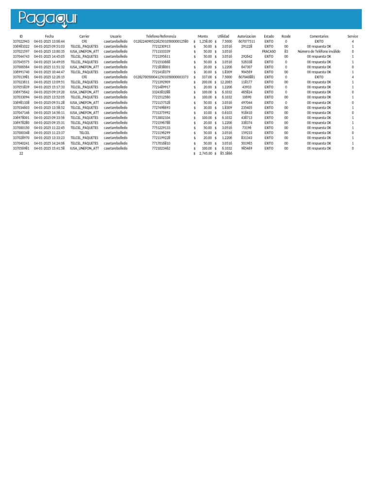 ReporteDetalleTransacciones 04012025 | PDF