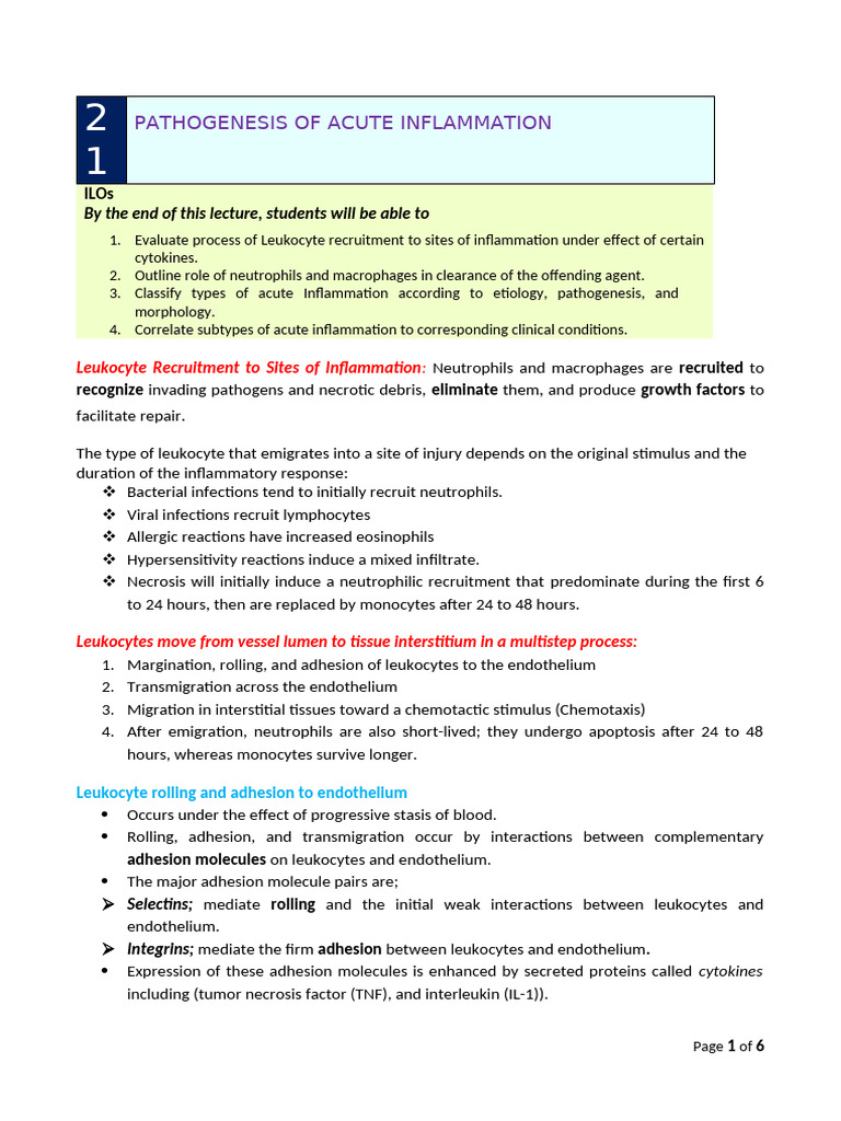B2.W3.L21. Pathogenesis of Acute Inflammation | PDF | Inflammation | Macrophage
