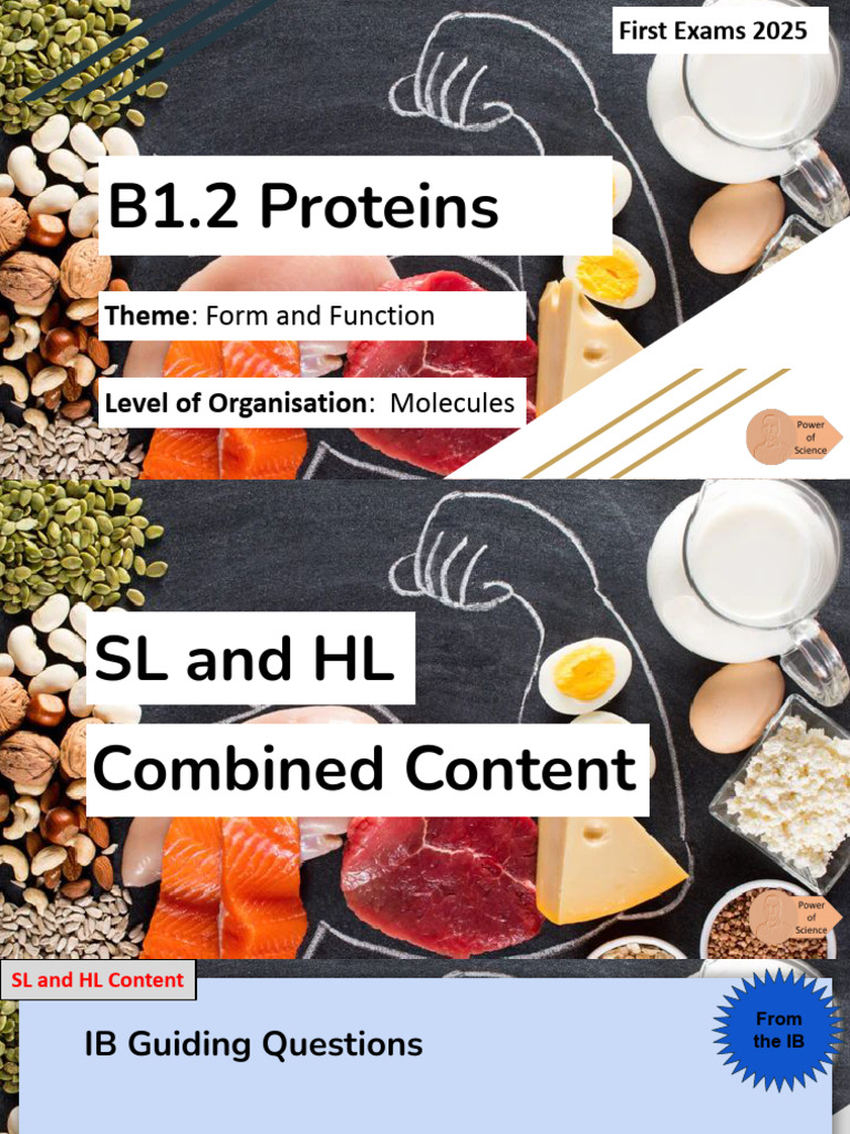 B1.2 Proteins | PDF | Protein Structure | Proteins