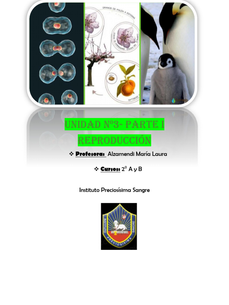 Unidad N3 Parte I 1 | PDF | Reproducción | Sexo