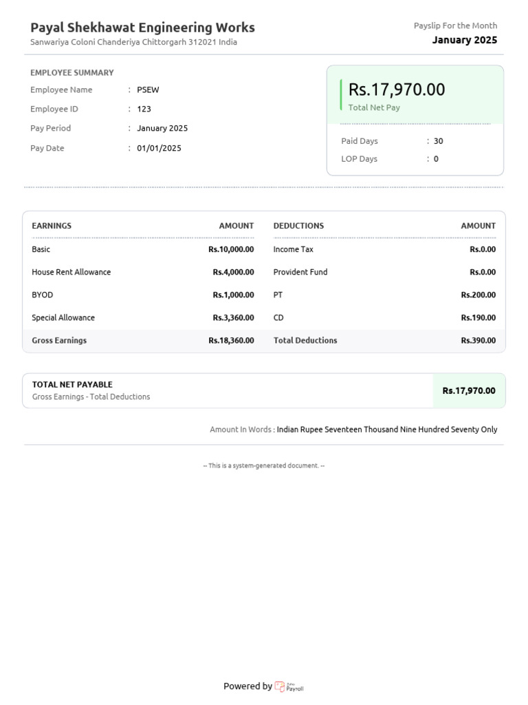 January 2025 Payslip Summary | PDF