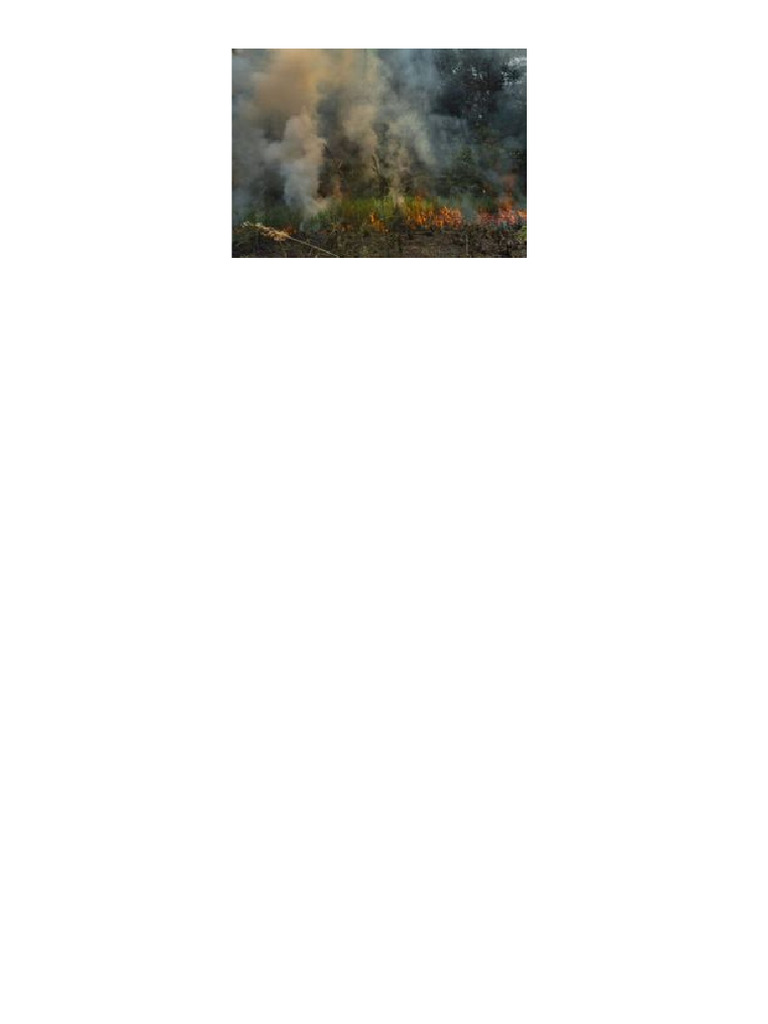 Creative | PDF