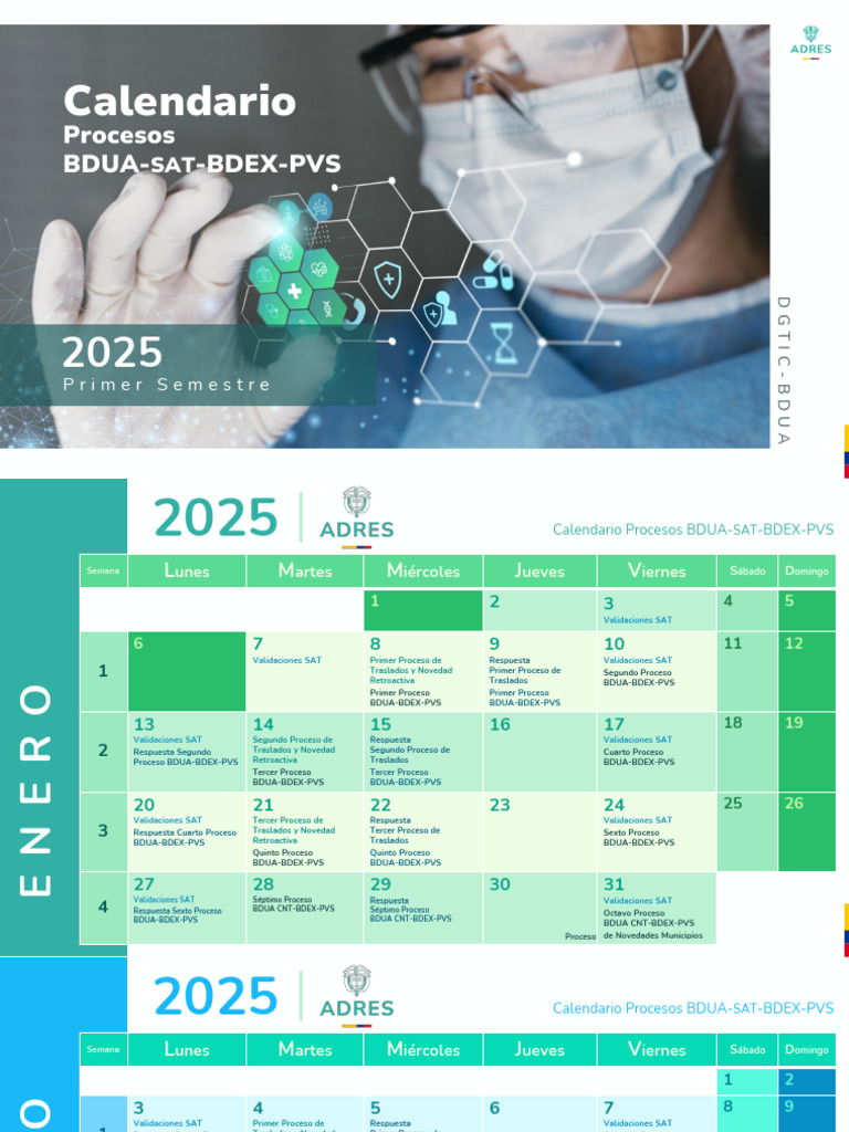 Calendario Procesos BDUA-SAT-BDEX-PVS 2025-Primer Semestre | PDF | Calendario