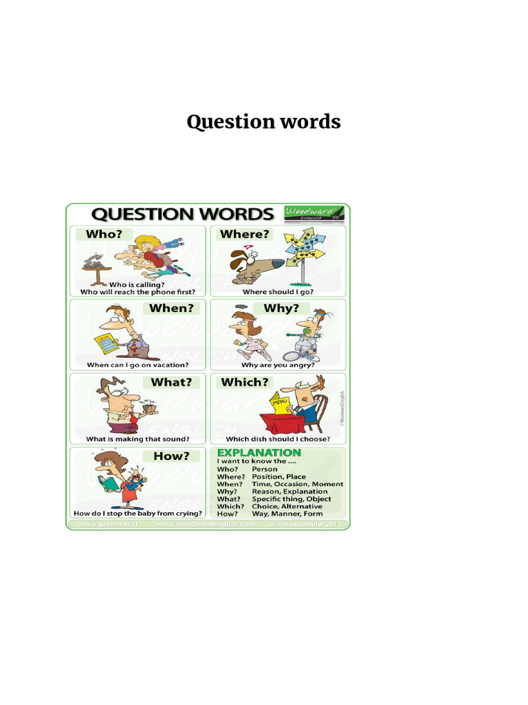 Question Words | PDF