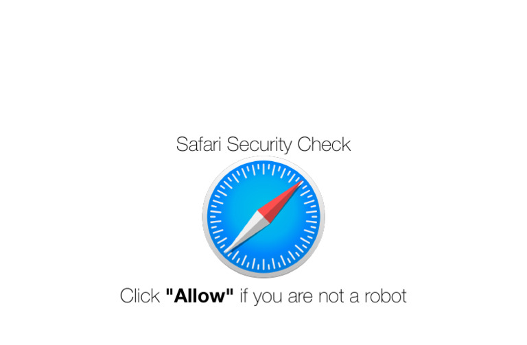 Security Check | PDF