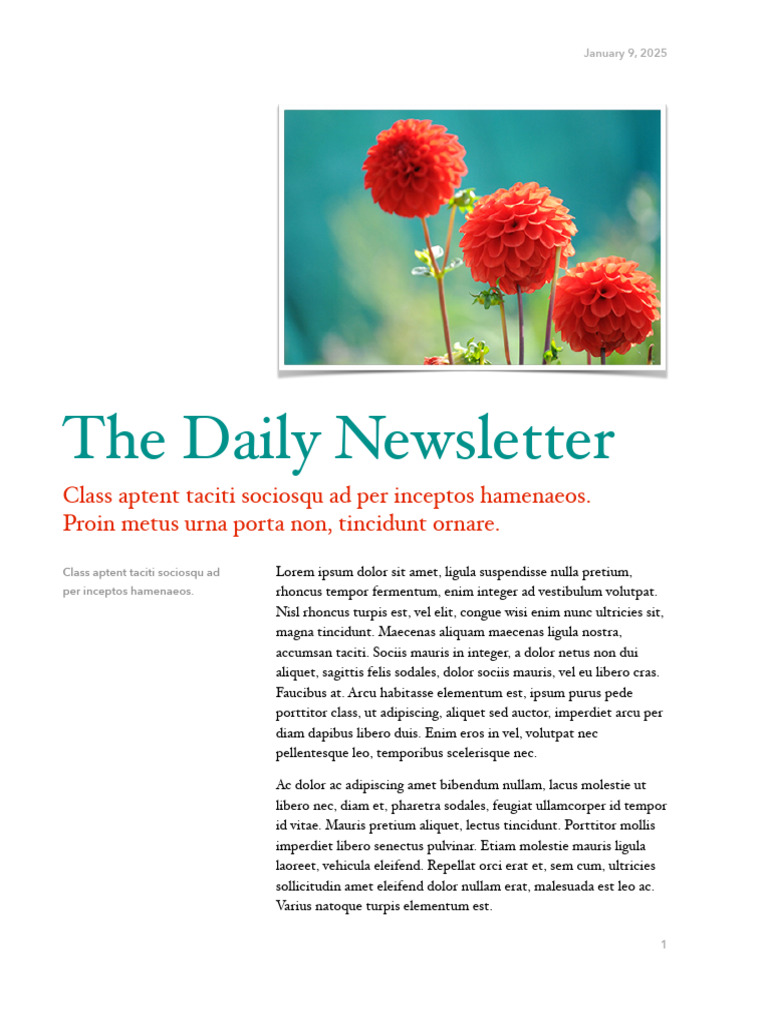 Daily Newsletter | PDF