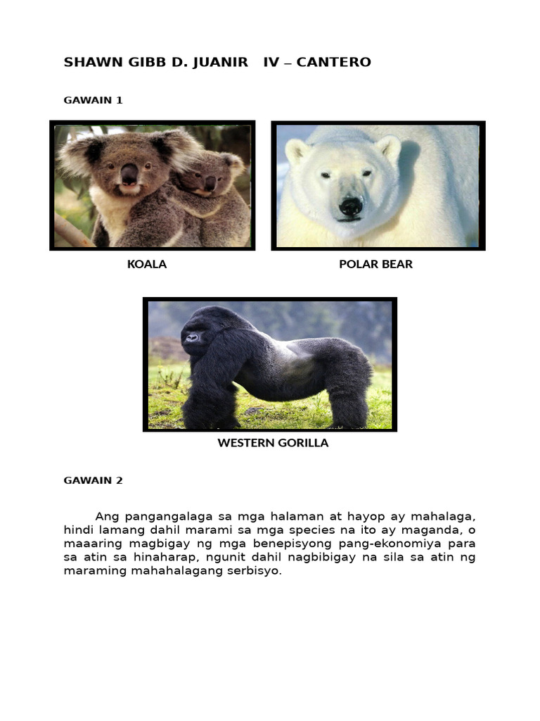 CEDRICK DAVE D | PDF