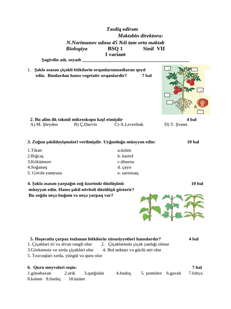 BSQ 1 Biol.7s | PDF