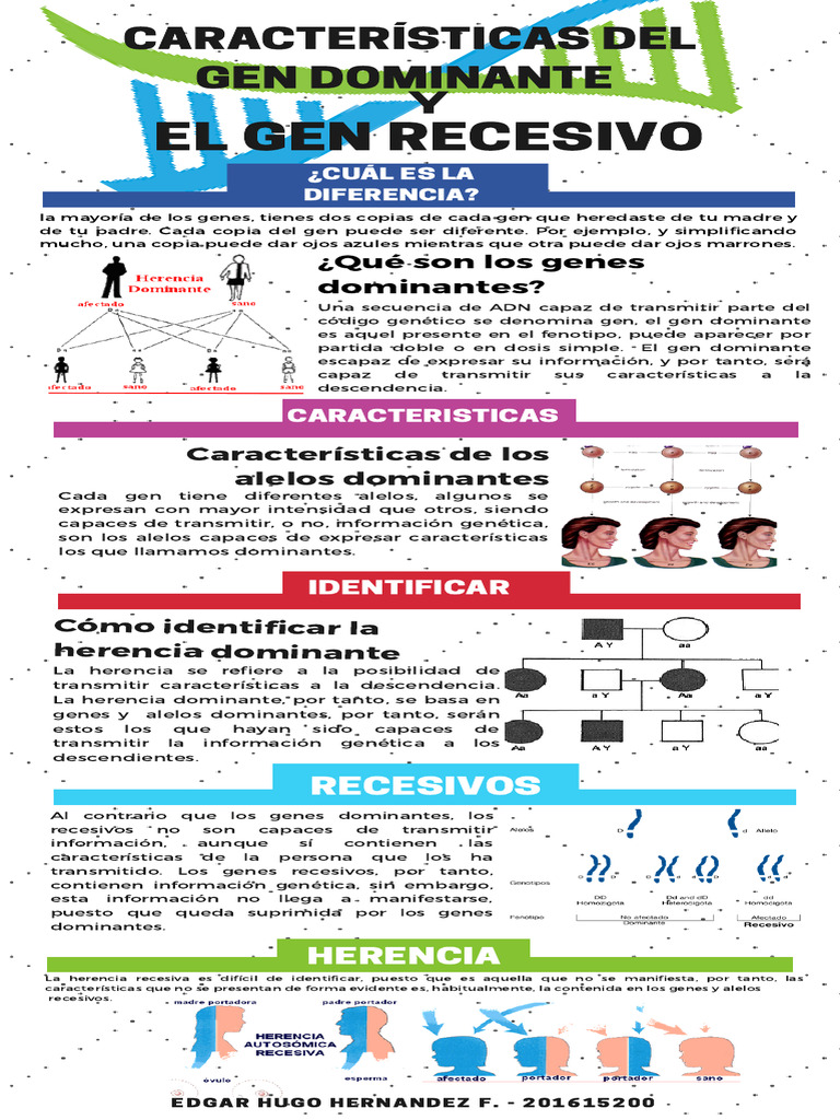 INFOGRAFIA - Características Del Gen Dominante | PDF | Dominancia ...