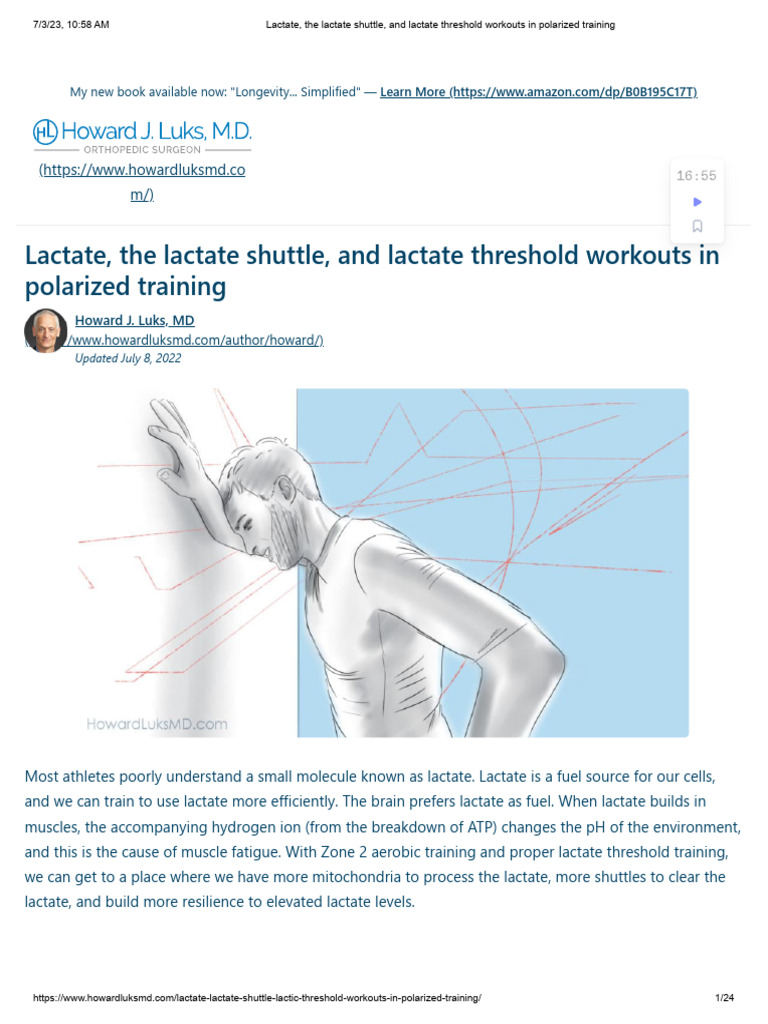 Lactate Threshold Workouts Explained | PDF | Skeletal Muscle | Cellular ...