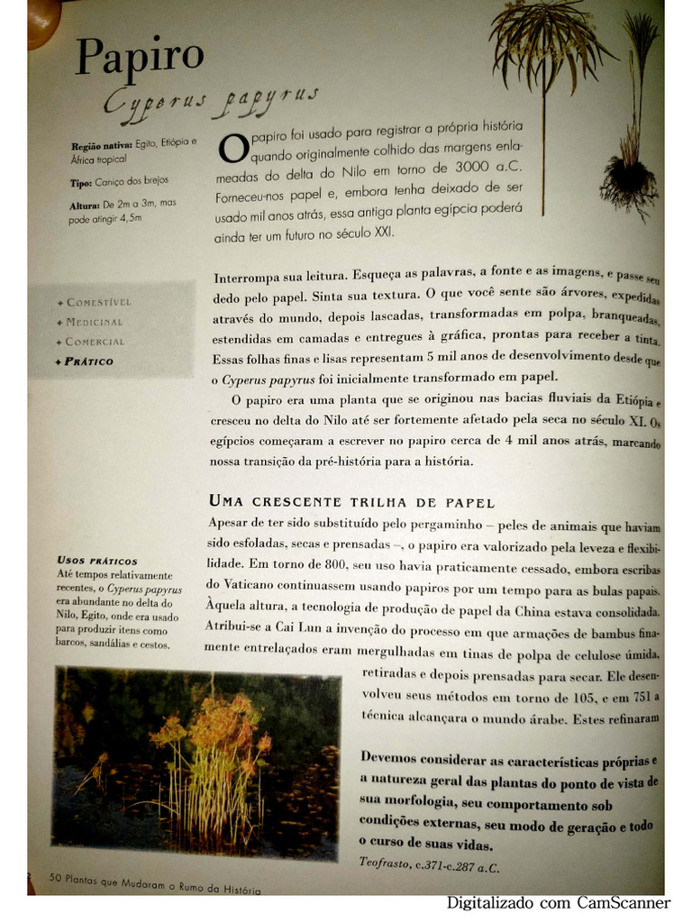 Papiro | PDF
