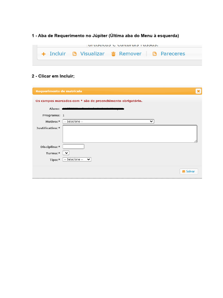 Tutorial Requerimento | PDF