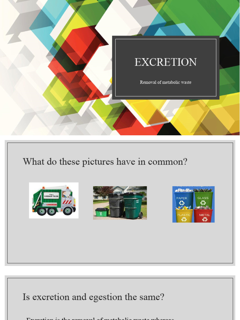 Understanding Metabolic Waste Excretion | PDF | Excretion | Edema