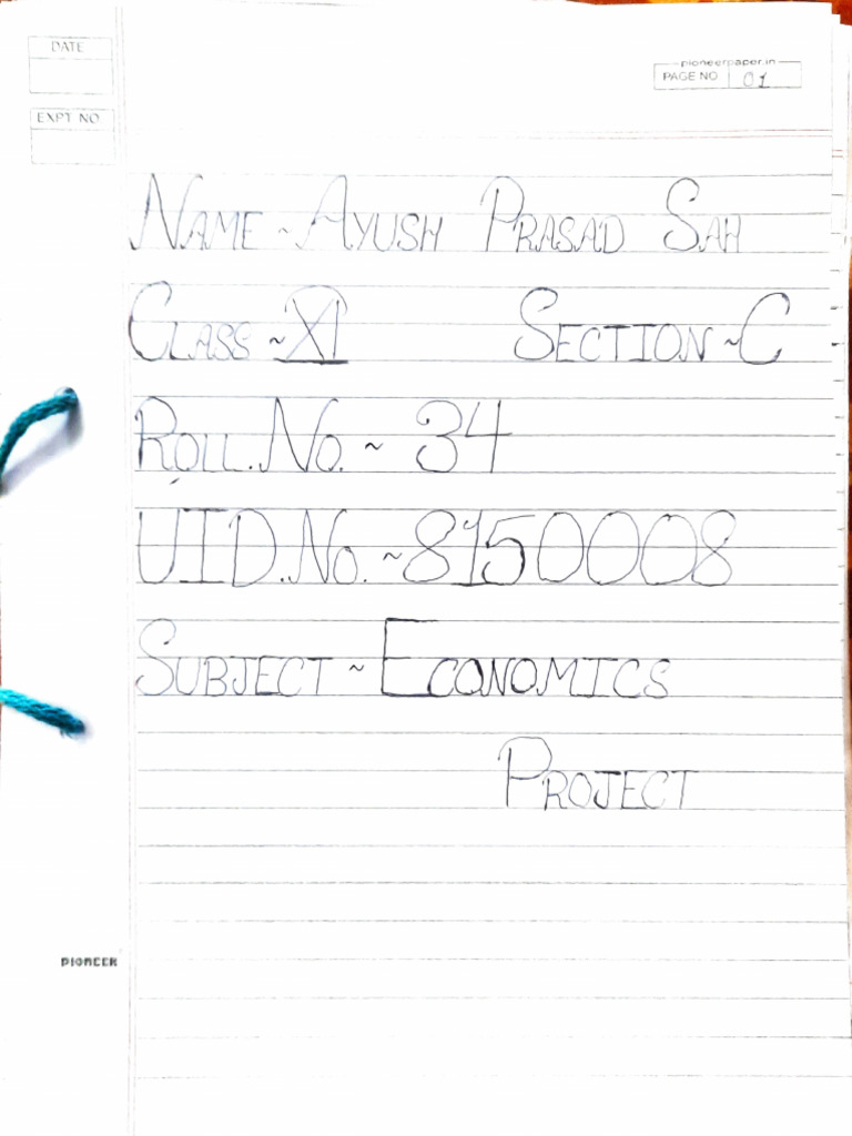 Economics Project Class 11 | PDF
