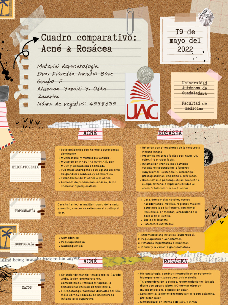 Comparativa de Acné y Rosácea en Dermatología | PDF | Piel | Medicina ...