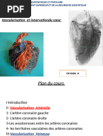 Vascularisation Du Coeur | PDF | Aorte | Organe