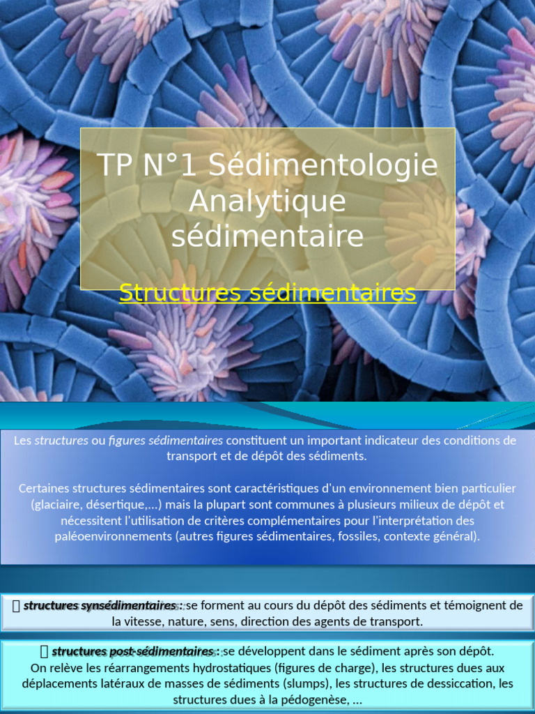 TP-structures-sc3a9dimentaires 2025 | PDF | Roche sédimentaire | Grès