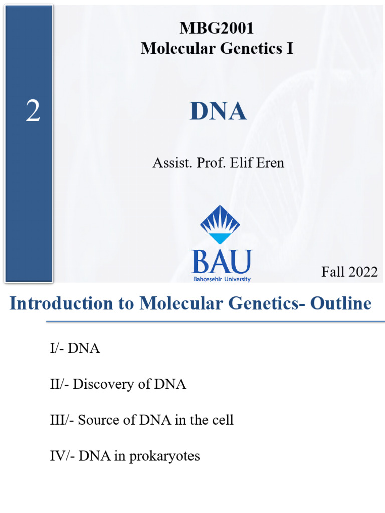 Molecular Genetics-Course 2 | PDF | Dna | Nucleic Acids
