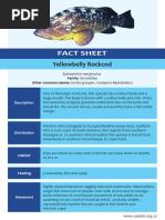 ORI Fish Fact Sheet Geelbek | PDF | Spawn (Biology) | Fish