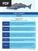 Tilapia Dissection | PDF | Gill | Fish