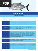 ORI Fish Fact Sheet Geelbek | PDF | Spawn (Biology) | Fish