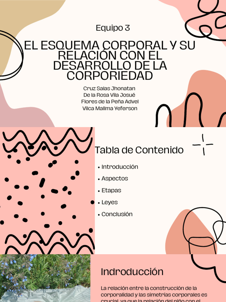 EL ESQUEMA CORPORAL Y SU RELACION CON EL DESARROLLO DE LA CORPORIEDAD ...