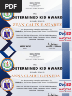 CPC Functionality Tool | PDF | Child Protection | Bullying