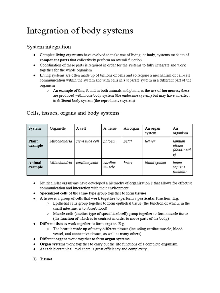 C3.1 Integration of body systems | PDF | Nerve | Axon