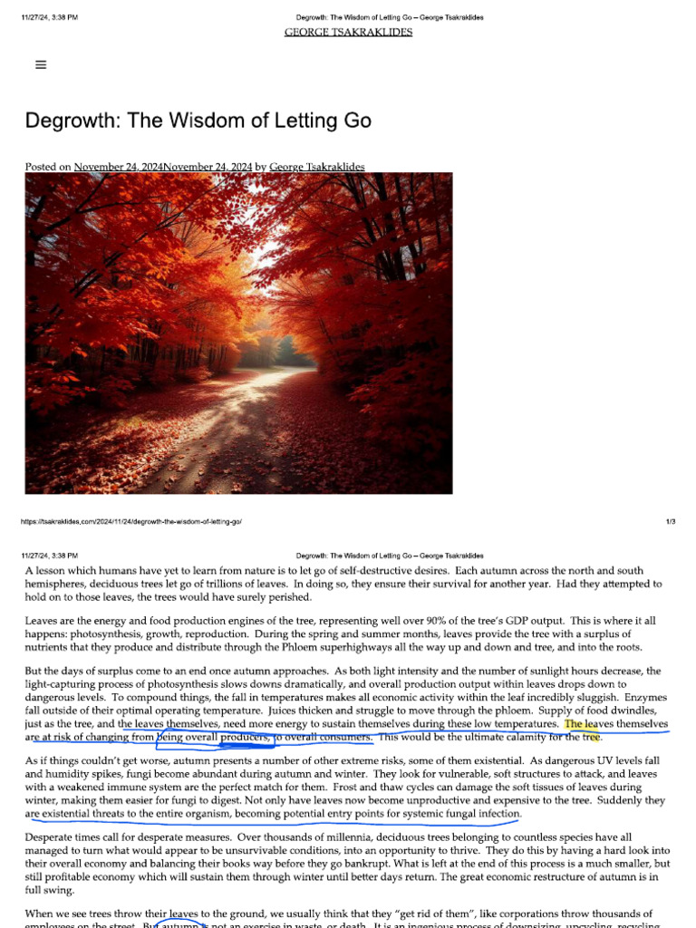 Degrowth - The wisdom of letting go | PDF