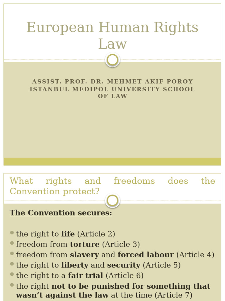 European Human Rights Law Course Notes 4 | PDF | European Convention On ...