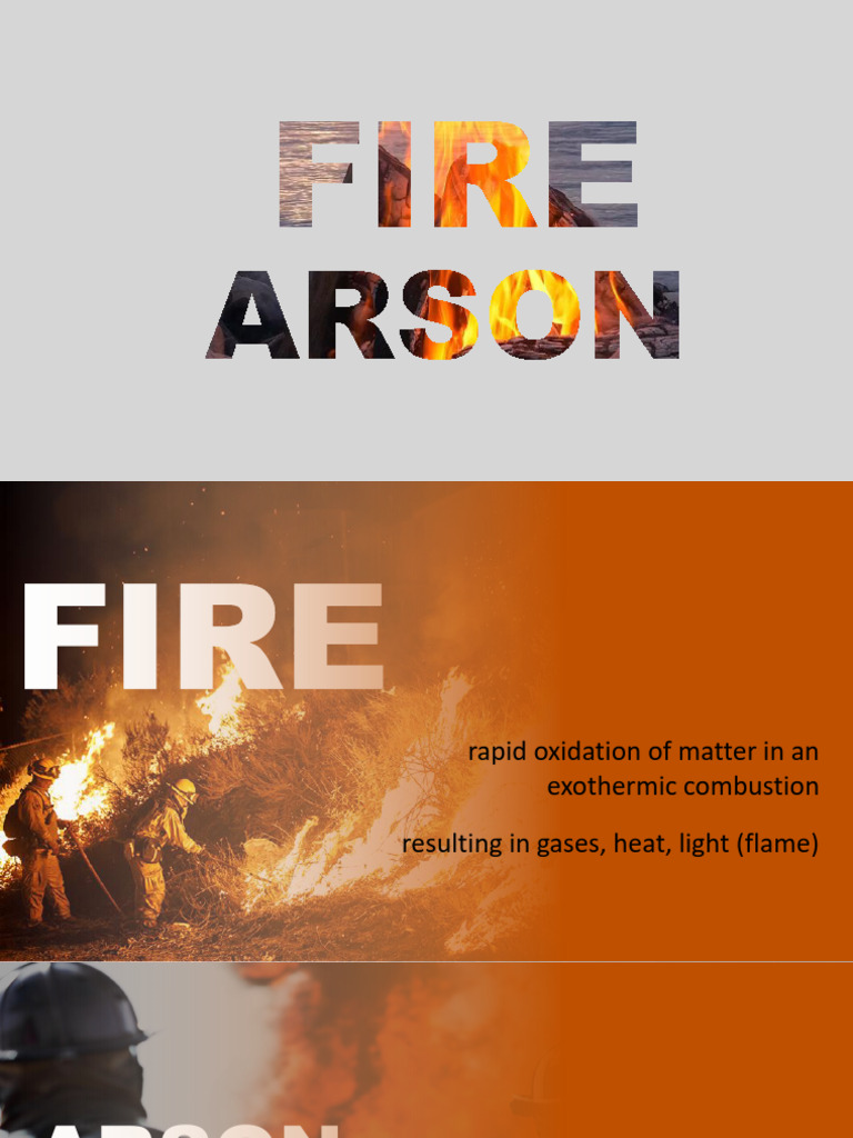 12-FIRE | PDF | Combustion | Fires
