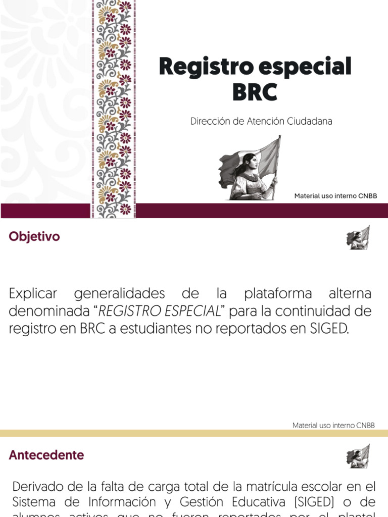 Consideraciones Registro Especial BRC | PDF