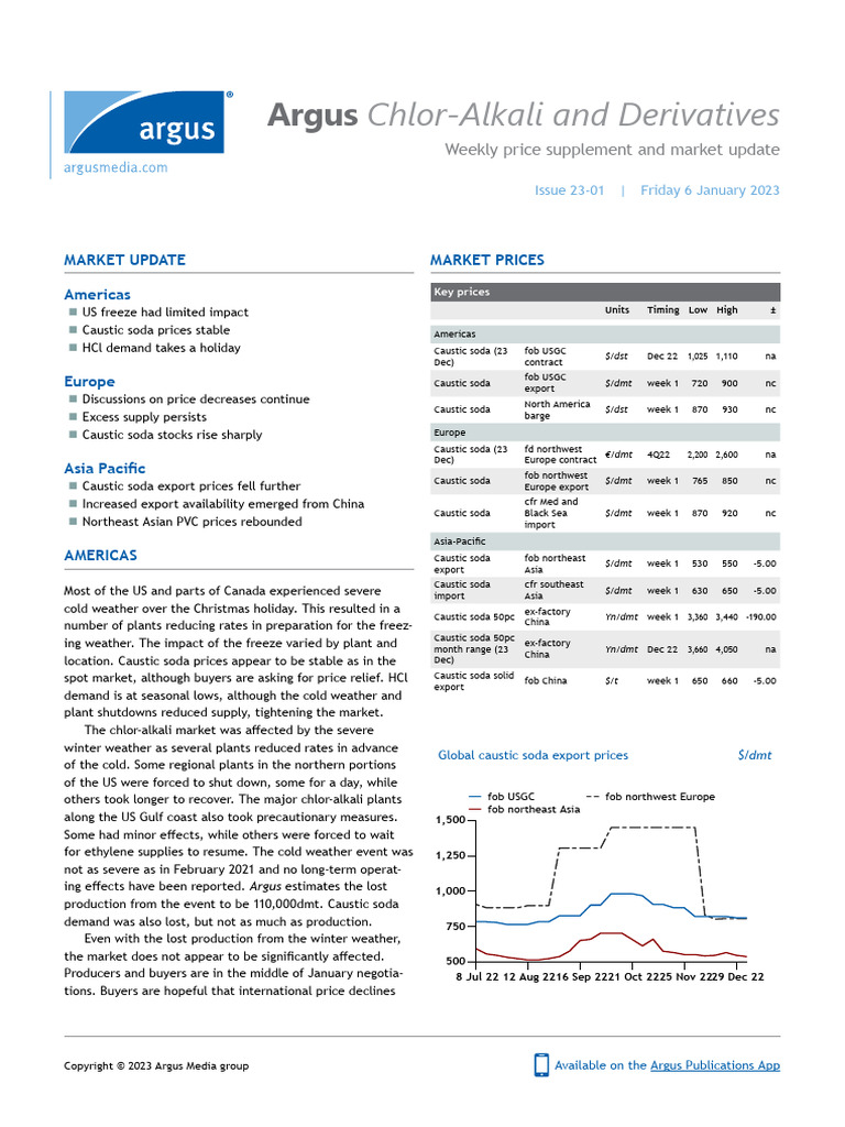 Argus Chlor Alkali and Derivatives | PDF