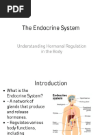 Endocrine System Worksheet | PDF | Endocrine System | Hormone