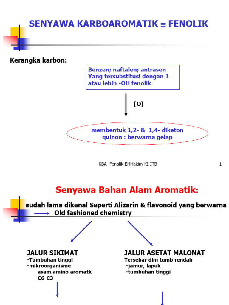 Senyawa Karboaromatik Fenolik dan Biosintesis | PDF