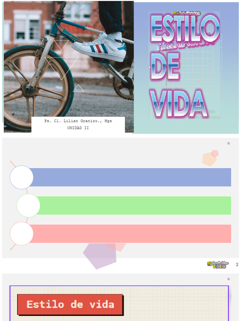 Estilo de Vida | PDF | Sicología