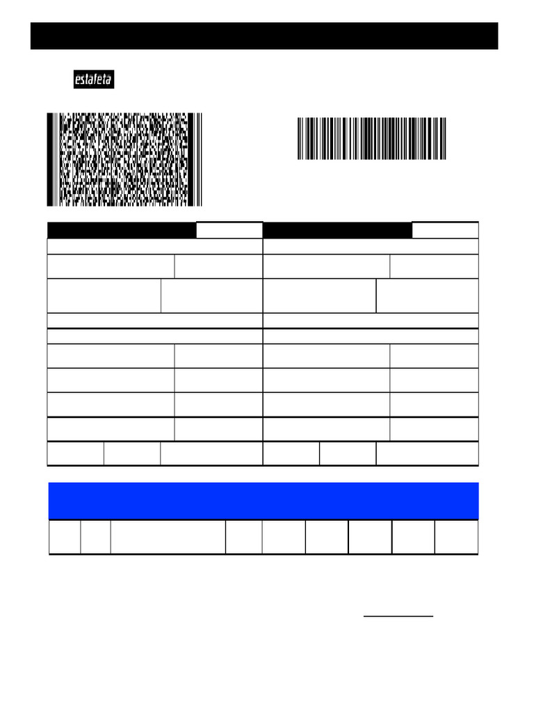 Guia Devolucion Neurone Hmo-Gdl | PDF