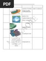 Les Types de Cellules Et Leurs Composants | PDF | Cellule (Biologie ...